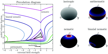 Continuum percolation in colloidal dispersions of hard nanorods in ...
