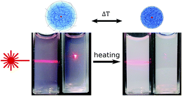 The fuzzy sphere morphology is responsible for the increase in light ...