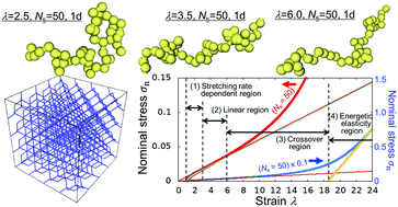 Molecular dynamics studies of entropic elasticity of condensed lattice ...