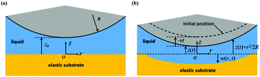 Lubricated soft normal elastic contact of a sphere: a new numerical ...