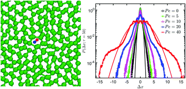 Chemically symmetric and asymmetric self-driven rigid dumbbells in a 2D ...
