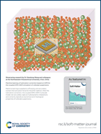 Back cover - Soft Matter (RSC Publishing)