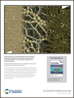 Back cover - Soft Matter (RSC Publishing)