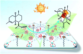A 2D MOF-based artificial light-harvesting system with chloroplast ...