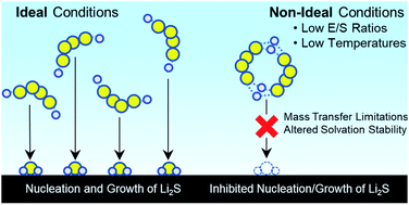 Unifying the clustering kinetics of lithium polysulfides with the ...