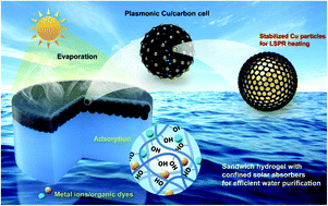 Sandwich hydrogel with confined plasmonic Cu/carbon cells for efficient ...