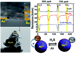 A thermodynamic approach toward selective and reversible sub-ppm H2S ...