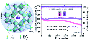 High-performance aqueous Zn–MnO2 batteries enabled by the coupling ...