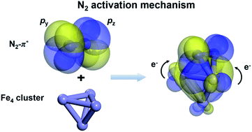 Rational design of an Fe cluster catalyst for robust nitrogen ...