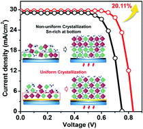 Balancing crystallization rate in a mixed Sn–Pb perovskite film for ...