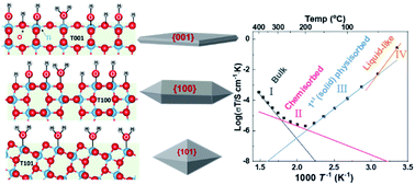 Facet-engineered TiO2 nanomaterials reveal the role of water–oxide ...