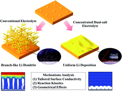 Suppression of dendritic lithium-metal growth through concentrated dual ...