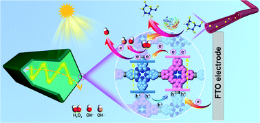 A high-performance photoelectrochemical sensor for the specific ...