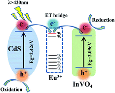 Europium single atom based heterojunction photocatalysts with enhanced ...