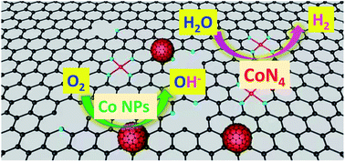 Atomic Co–N4 and Co nanoparticles confined in COF@ZIF-67 derived core ...