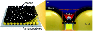 Simultaneously intensified plasmonic and charge transfer effects in ...