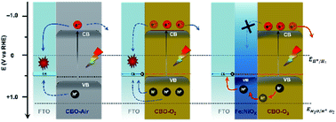 Augmented photoelectrochemical water reduction: influence of copper ...