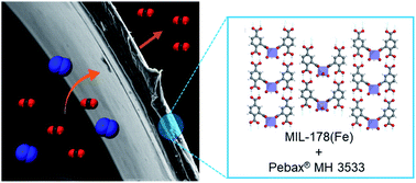 A robust eco-compatible microporous iron coordination polymer for CO2 ...