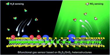Bifunctional gas sensor based on Bi2S3/SnS2 heterostructures with ...