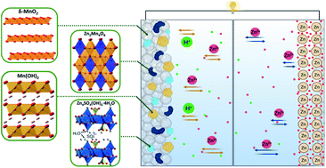 A two-electron transfer mechanism of the Zn-doped δ-MnO2 cathode toward ...