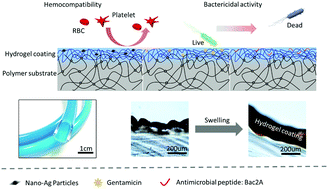 A conformally adapted all-in-one hydrogel coating: towards robust ...