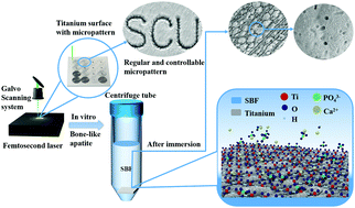 Application of femtosecond laser microfabrication in the preparation of ...