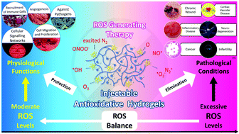 Reactive oxygen species (ROS): utilizing injectable antioxidative ...