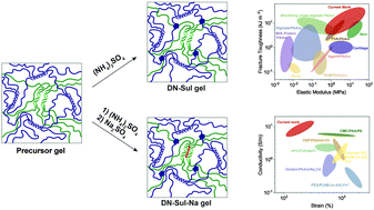 An extremely tough and ionic conductive natural-polymer-based double ...