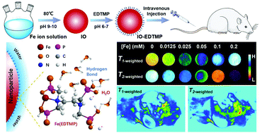 EDTMP ligand-enhanced water interactions endowing iron oxide ...