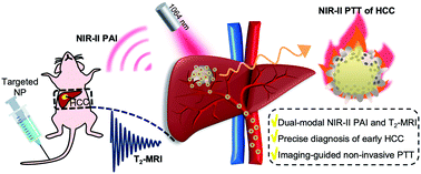 A multifunctional targeted nanoprobe with high NIR-II PAI/MRI ...