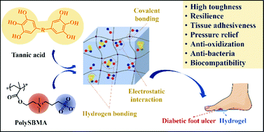 Tannic acid-reinforced zwitterionic hydrogels with multi ...
