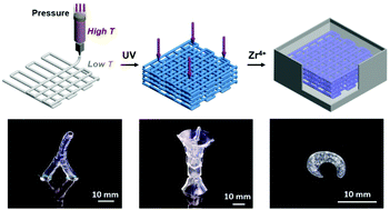 3D printing of a tough double-network hydrogel and its use as a ...