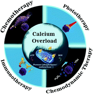 Nanoplatform-mediated calcium overload for cancer therapy - Journal of ...