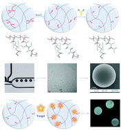 PEG-based cleavable hydrogel microparticles with controlled porosity ...