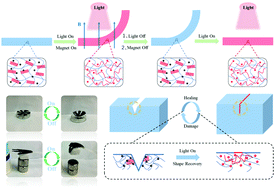 Light- and magnetic-responsive synergy controlled reconfiguration of ...