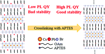 In situ synthesis of blue-emitting bromide-based perovskite nanoplatelets towards unity quantum ...