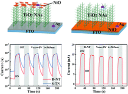 A high-performance NiO/TiO2 UV photodetector: the influence of the NiO ...