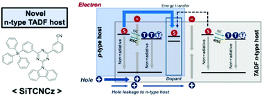 A novel electroplex host with dual triplet exciton up-converting ...