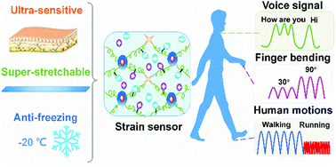 Design and performance of an ultra-sensitive and super-stretchable ...