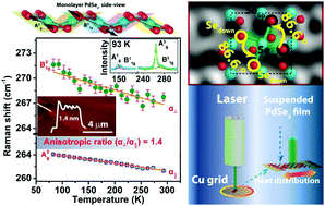 Temperature-dependent Raman study and determination of anisotropy ratio ...
