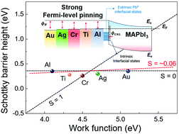 Strong Fermi-level pinning at metal contacts to halide perovskites ...
