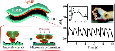 Multi-length scale hierarchical architecture overcoming pressure ...