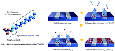 Achieving area-selective atomic layer deposition with fluorinated self-assembled monolayers ...