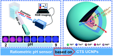 Blue/red ratiometric pH sensors without background signals based on 808 ...