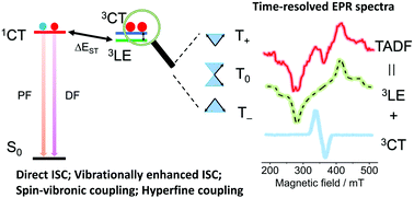 Application of time-resolved electron paramagnetic resonance ...