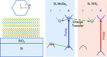 Ultrafast charge transfer and carrier dynamics in a WS2/MoSe2 few-layer van der Waals ...