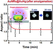 Single-particle study: effects of mercury amalgamation on morphological ...