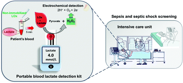 A portable blood lactate sensor with a non-immobilized enzyme for early ...