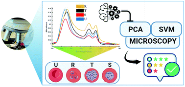 Visible microspectrophotometry coupled with machine learning to ...