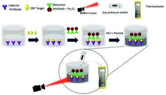 A polypyrrole-mediated photothermal biosensor with a temperature and ...